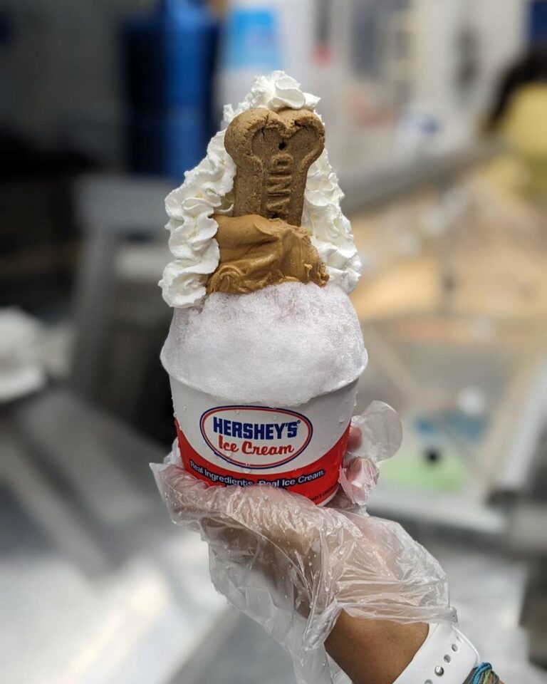 Tropical Sno – North Carolina – Tropical Sno: The Best Shave Ice and ...
